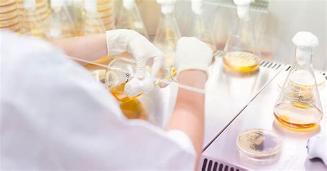 Its Time To Automate Your Plasmid Purification Promega Connections