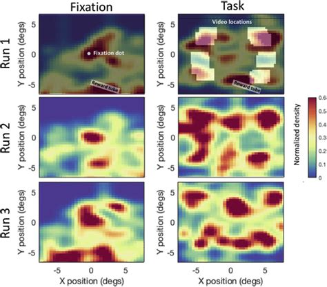 Density Histogram Of Eye Positions During Fixation And Task Large