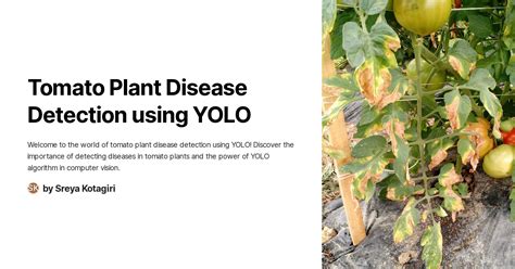 Tomato Plant Disease Detection Using YOLO