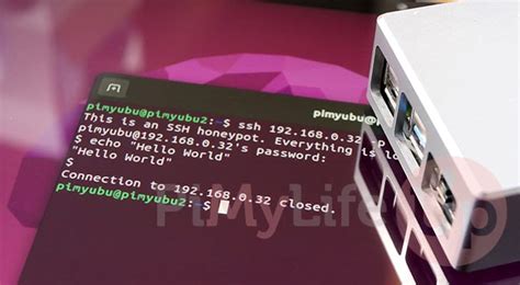 setting up an ssh honeypot on the raspberry pi with sshesame pi my