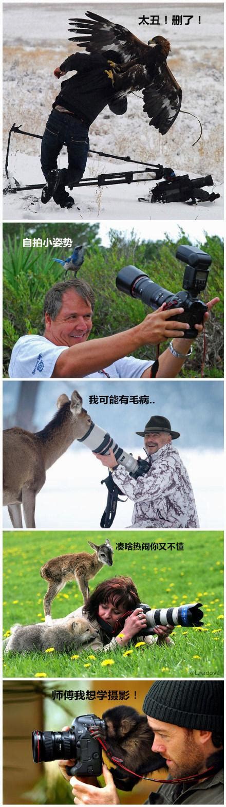 人與動物互動的場面好萌好溫馨這就叫和諧共處吧 每日頭條