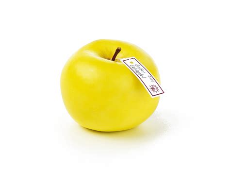 Golden Noble Adamrouilly
