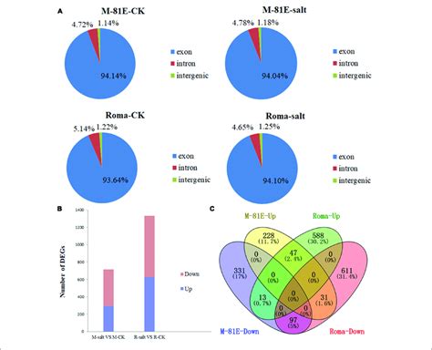 Unique Reads Mapped To Various Genomic Regions And Identification