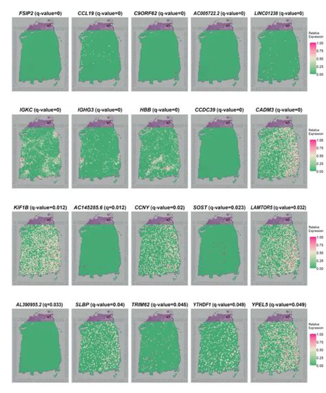 10x空间转录组聚类分析之图卷积网络（graph Convolutional Network）图卷积 聚类 Csdn博客