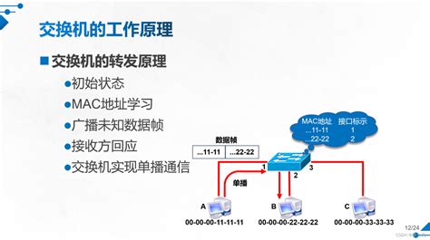 交换机的基本原理与配置交换机内设备之间 Csdn博客