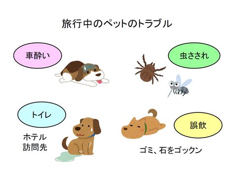 【獣医師が解説】ペットとの生活編： テーマ「ペットツーリズム」 犬の総合情報サイト・帝塚山ハウンドカム通信