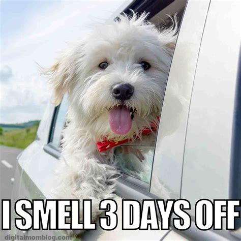 Long Weekend Memes When 3 Days Off Feels Like Heaven