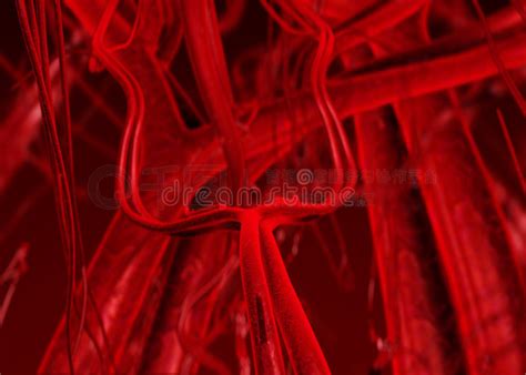 白细胞高清图片 红色血管网络 红色血管网络图片免费下载 5142527981 千图网pro