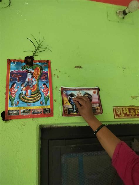 गोदावरी न्युज Godawari News