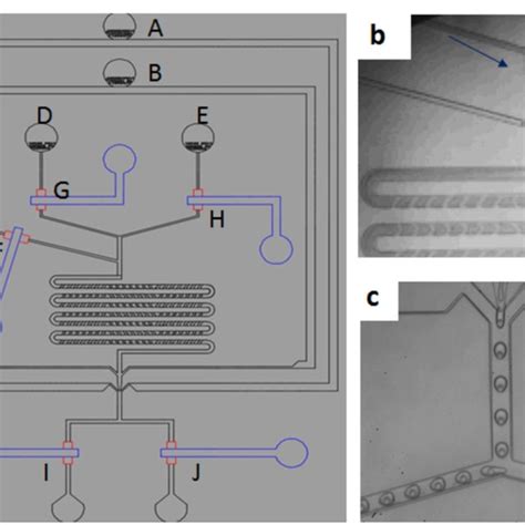 Schematic Illustration Of The Microfluidic Device A Overview Of The Download Scientific