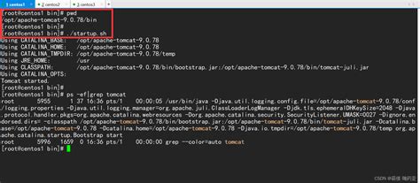 Linux Tomcat