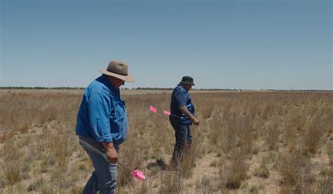Willandra Lakes Area Rangers Preserving Heritage Indigenous
