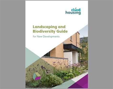 Derek Mccabe Posted On Linkedin