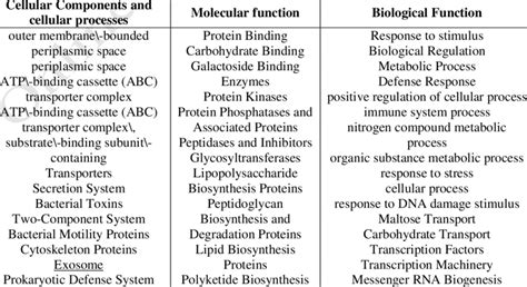 Functional Annotation Of Hypothetical Protein L345 13461 Download