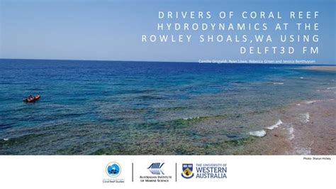 Dsd Int 2018 Characterizing The Drivers Of Coral Reef Hydrodynamics At
