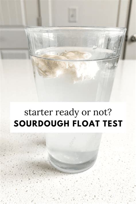 Sourdough Float Test Knowing When Starter Is Ready To Use Sourdough Float Test Knowing When Starter Is Ready To Use