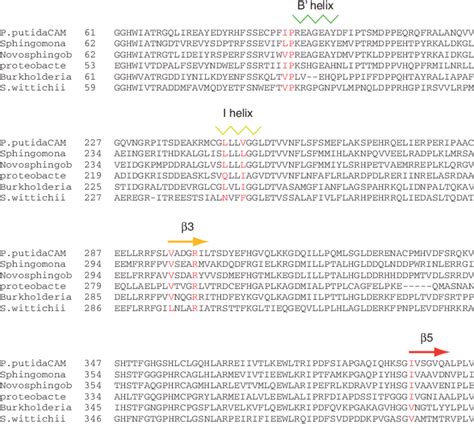 Partial Sequence Alignments Of Selected Putative P450 Sequences With