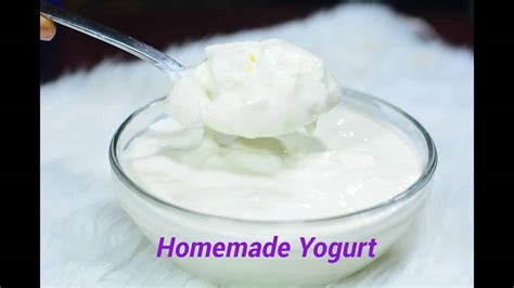 Easy Homemade Yogurt Without Yogurt Maker Video