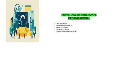 Functional Divisional And Matrix Organizational Structurepptx