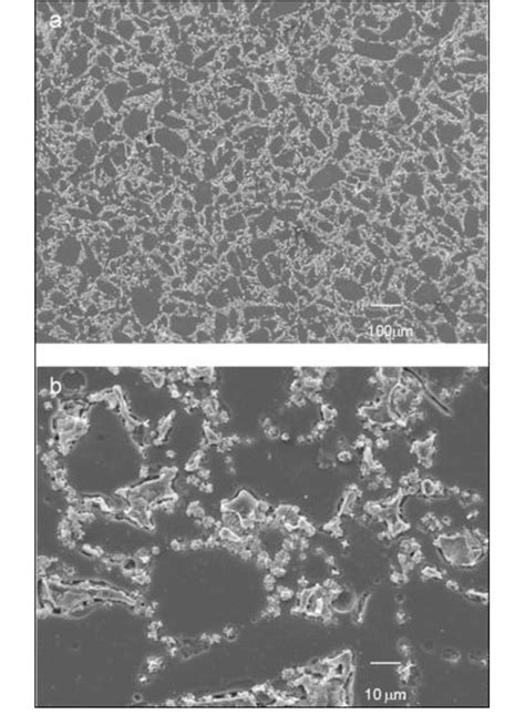 A Sem Micrograph 130 Of Glass Ceramic Treated At 700 C40 Min Download Scientific