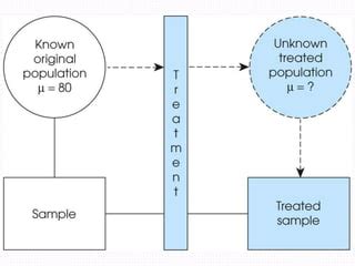 RM U MGR Hypothesis Testing Ppt