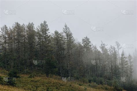 喀尔巴阡山脉美丽的风景