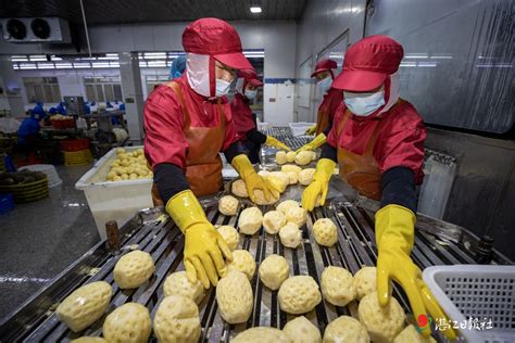 以新理念新技术新模式激发农业发展新活力 湛江云媒湛江新闻网