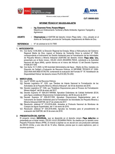 Modelo De Informe Técnico 1 Pdf