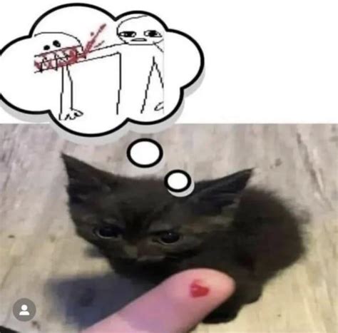 Wunkus Attack R Wunkus