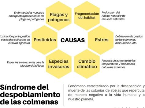 Consecuencias Y Soluciones De La Fragmentación Del Hábitat En Las Abejas