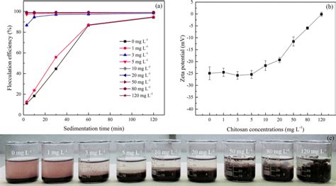 The Effect Of Chitosan Flocculation For Rhodosorus Sp Scsio 45730