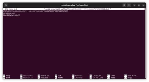 Zerossl Gratis Untuk Ip Public Cloudaja Artikel