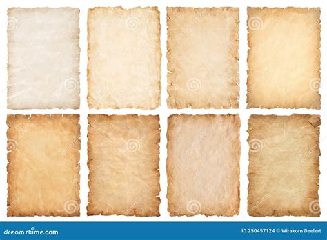 Collection Set Old Parchment Paper Scroll Sheet Vintage Aged Or Texture