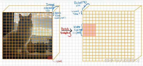 图解代码 Swin Transformer 1 W Msa和patch Merging 知乎