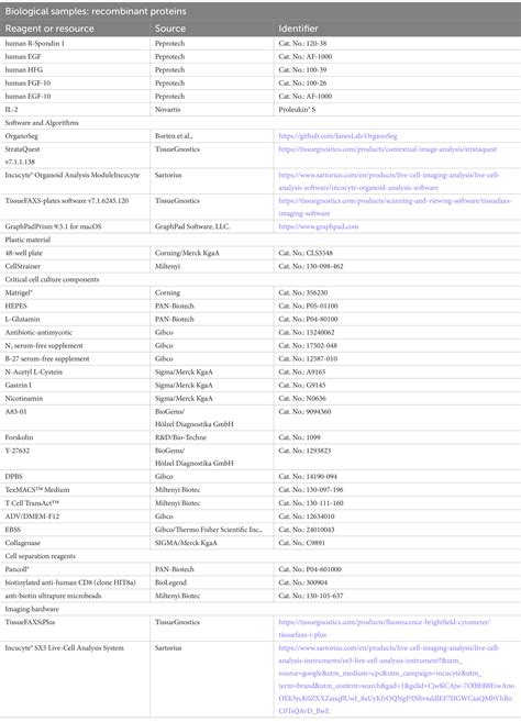 Frontiers Analysis Of Organoid And Immune Cell Co Cultures By Machine Learning Empowered Image