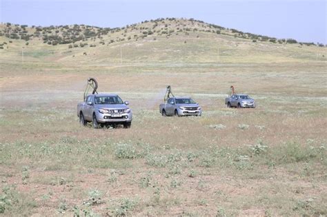 სურსათის ეროვნული სააგენტო საქართველოში კალიების პოპულაცია