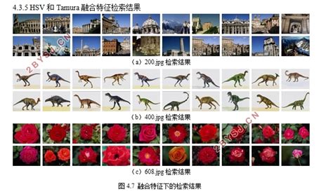 基于感兴趣区域的图像检索技术其他计算机
