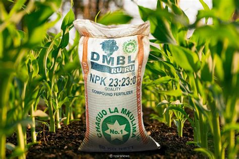 Agriculture fournir des engrais aux producteurs à temps et au meilleur prix Agence d