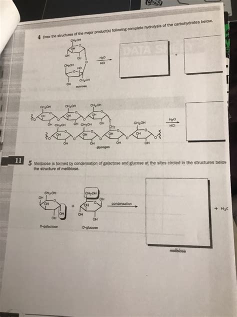 Solved PRELABORATORY EXERCISE Lab Partner A Monosaccharides Chegg