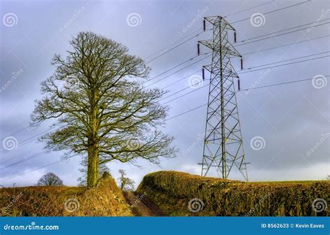 Electricity Pylon And Tree Stock Image Image Of Electric 8562633
