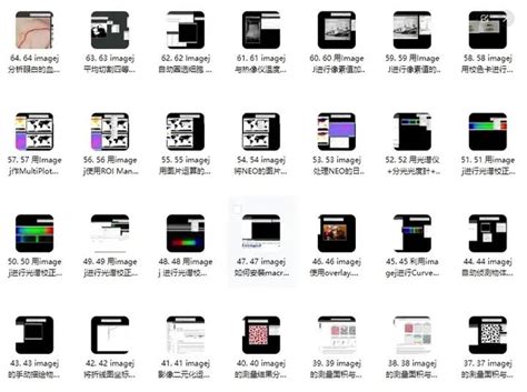 太惊艳了！这份超详细的image J全套中文教程，分分钟搞定sci作图！ 知乎