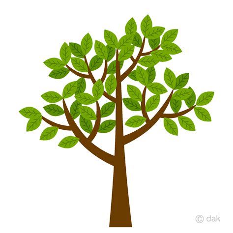Tree With Many Branches Clipart 10 Free Cliparts Download Images On Clipground 2025