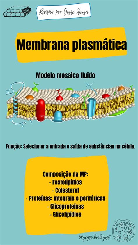 Membrana Plasmatica Biología Aula