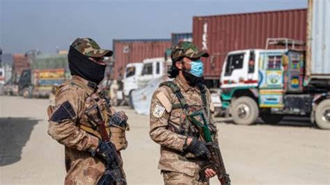Afghan Taliban Carry Out Second Public Execution Since Takeover World