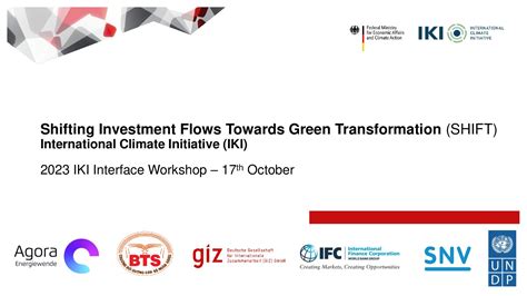 Shifting Investment Flows Towards Green Transformation Shift