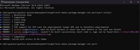 Error While Yarn Package Manager Install With Frozen Lockfile