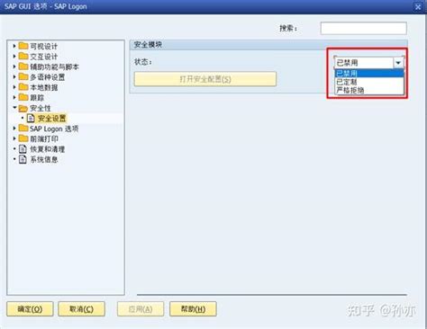 sap小技巧（不时更新202108） 知乎