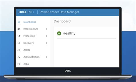 dell powerprotect data manager appliance a hands on review wwt