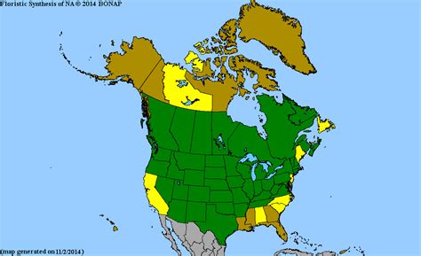 2013 Bonap North American Plant Atlas Taxonmaps