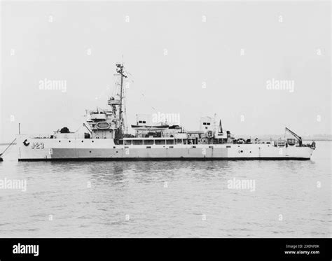 Hms Pique British Catherine Class Minesweeper 1945 Royal Navy